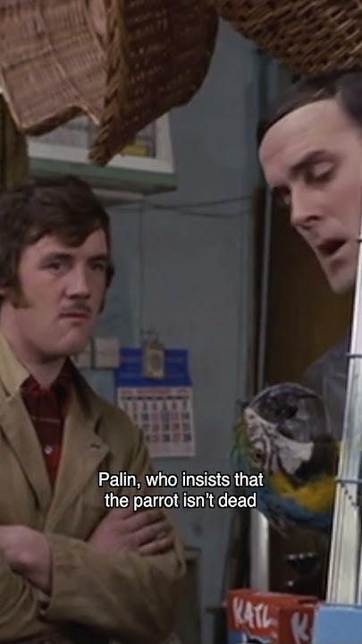 The Dead Parrot: Funniest Monty Python Sketches Ever! - YouTube