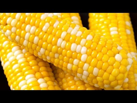Corn Original in description - YouTube