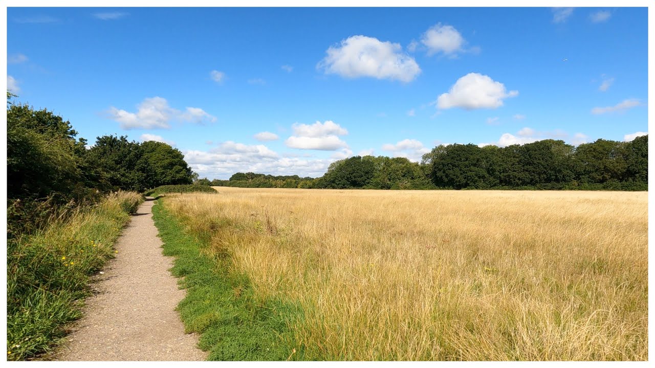Hamsey Green, South Croydon to Riddlesdown - a summer country walk ...