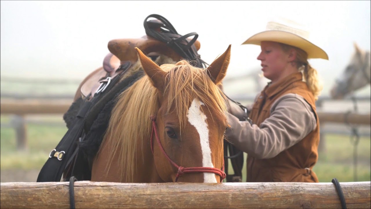 Nine Quarter Circle Ranch- overview - YouTube