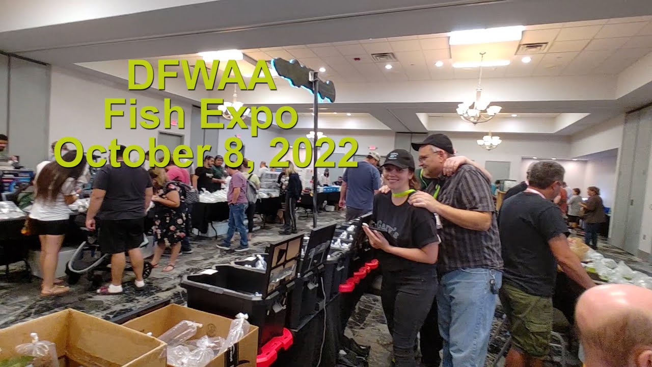 DFWAA Fish Expo October 08, 2022 - YouTube