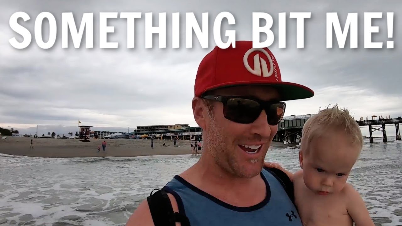 Something bit me!! Last day of vacation, sharks and souvenirs. - YouTube