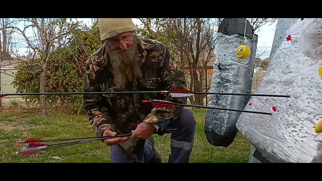 Arrow Collars do they Work? Let's find out together Please read ...