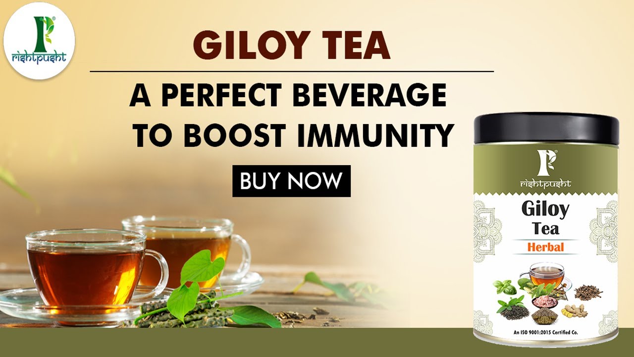 GILOY TEA - A PERFECT BEVERAGE TO BOOST IMMUNITY - YouTube