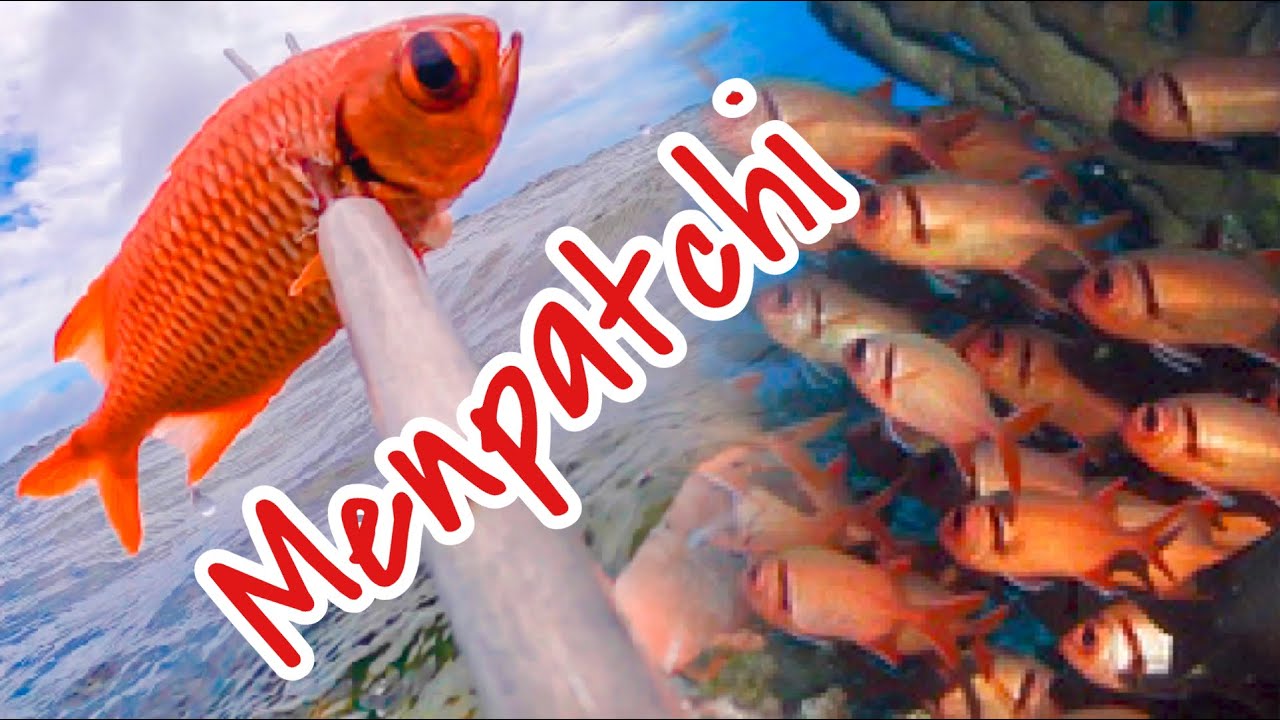SPEARING MENPACHI FOR THE FIRST TIME! | 3FT DEEP - YouTube