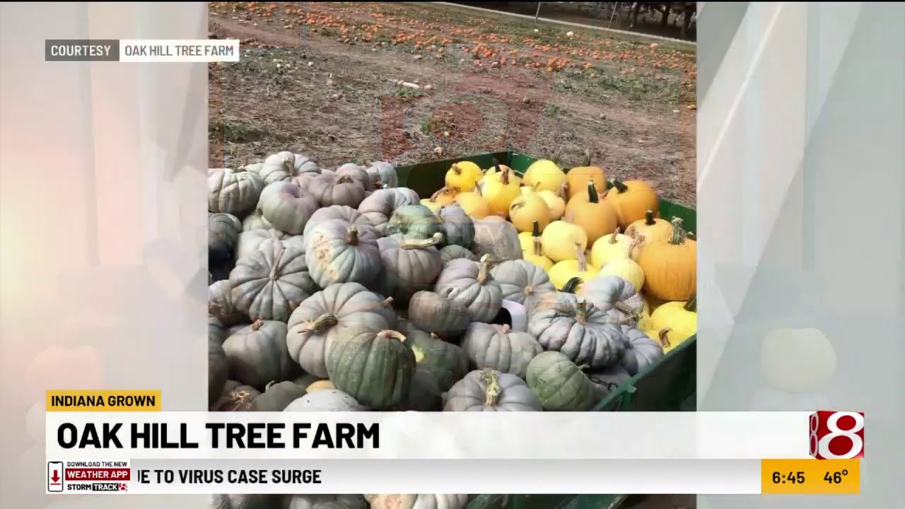 Indiana Grown: Oak Hill Tree Farm part 1 - YouTube