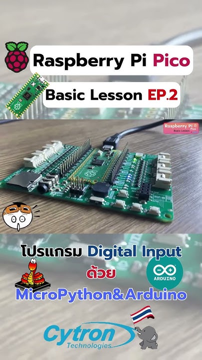 Raspberry Pi Pico Basic Lesson EP.2 Digital Input #raspberrypi #computer #project #ai #diy # ...