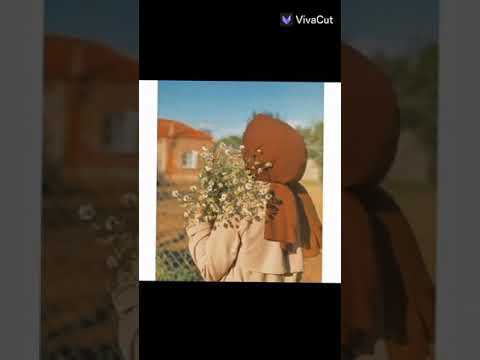 hicabli qizlar🧕🧕🕋🕋