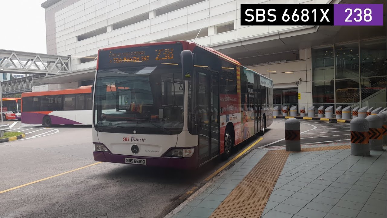 SBS Transit Buses: SBS6681X on 238 - YouTube
