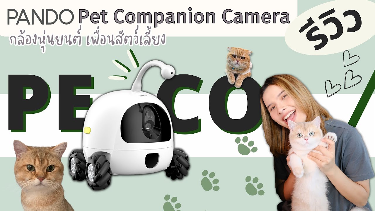 [Full Review] กล้องหุ่นยนต์เพื่อนสัตว์เลี้ยง PANDO Pet Companion Camera ...