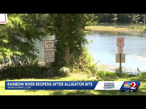 Snorkeler attacked by 8-foot alligator in Marion County river, deputies say