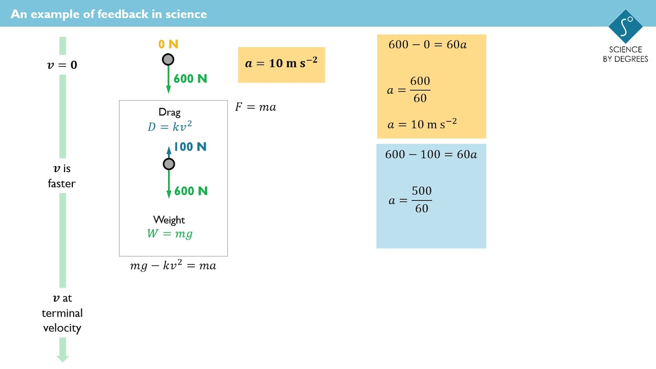 An example of feedback in science (section 4 video 2) - YouTube