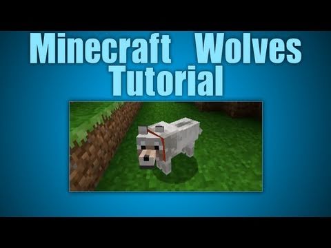Minecraft Wolves! How to Tame, Find, and Feed (Beta 1.4 Update) - YouTube