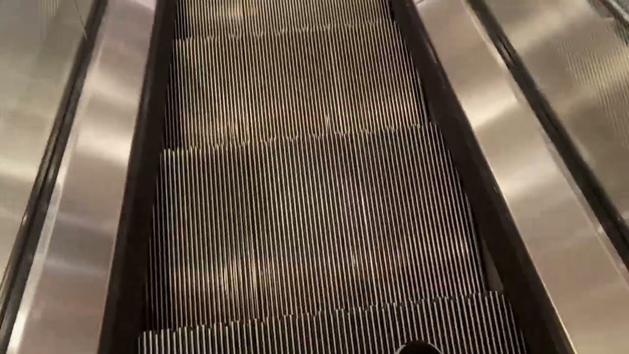 3878: 1986 Montgomery Single-File Escalator at Macy's Home @ South ...