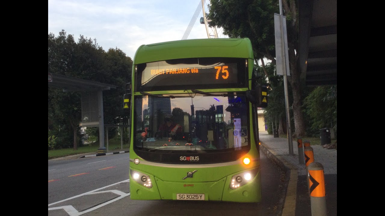 [EXCLUSIVE] SMRT Bus Service 75 [SG3025Y]: Aft S'pore Flyer → Opp ...