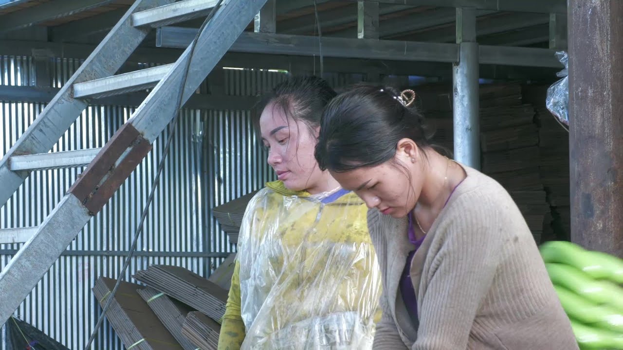 Saib Hmoob Thiab Pub Thawj Ua Suav Zog Ntxuav Tsawb - YouTube