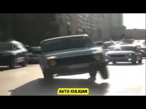 Niva süren avtoşlar