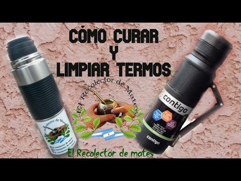Cómo limpiar tus termos y desinfectarlos. - YouTube