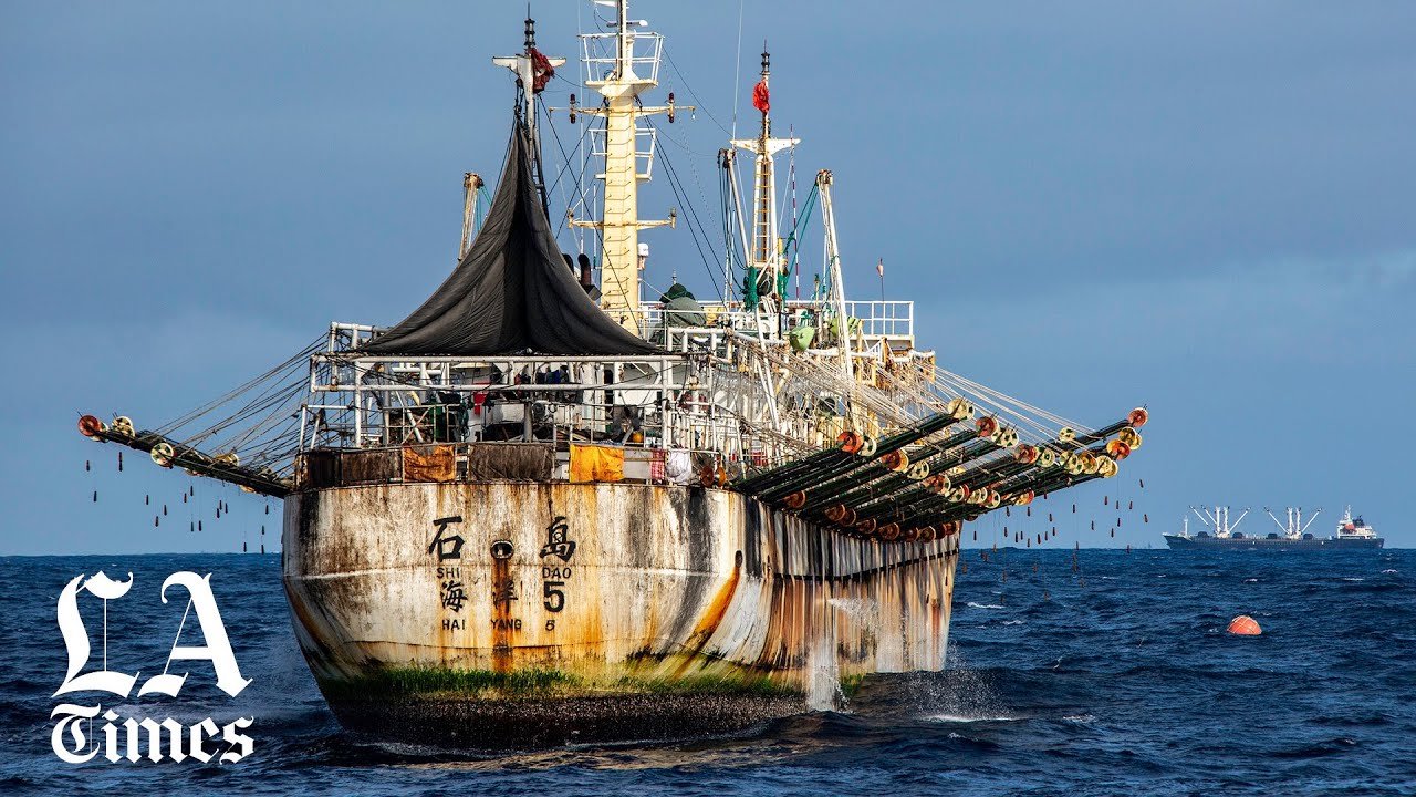 Chinese fishing fleets threaten a natural wonder - YouTube