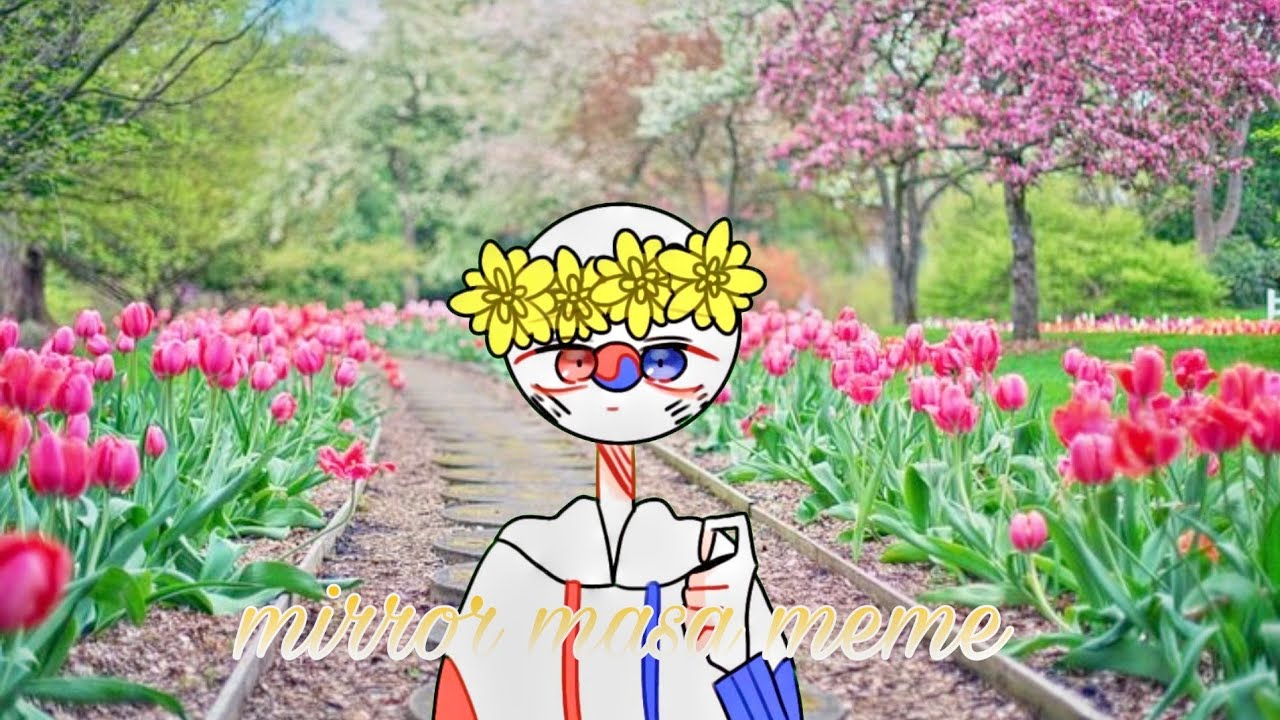 남한으로 mirror masa meme / 컨트리휴먼 - YouTube