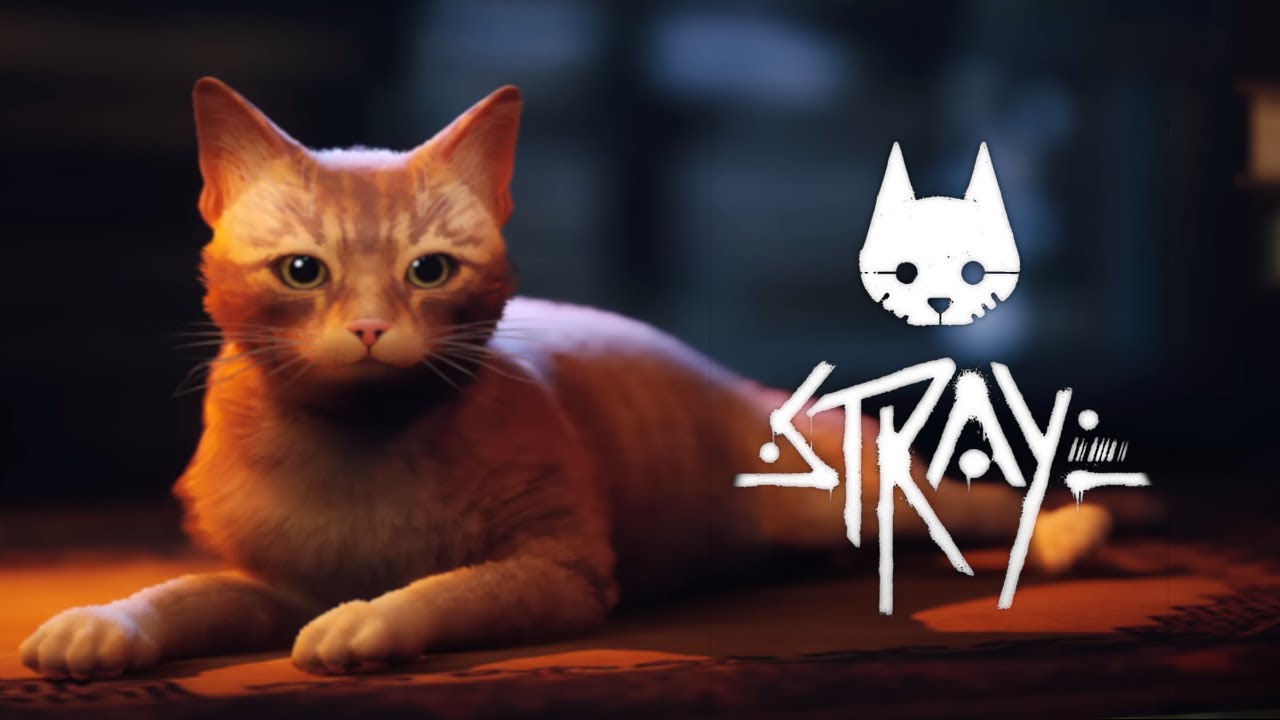 CUTE BADASS CAT | STRAY - Part 2 - YouTube