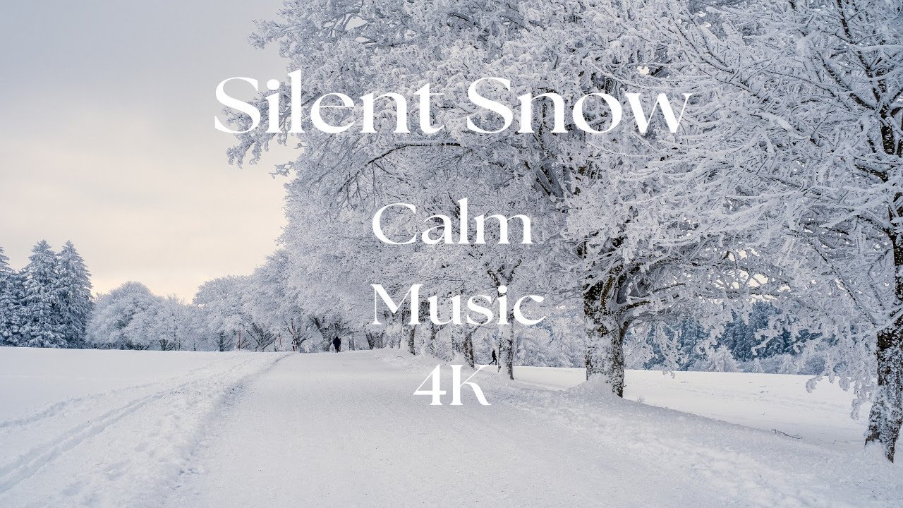 | Meditation Music | Silent Snow | Piano Music - YouTube