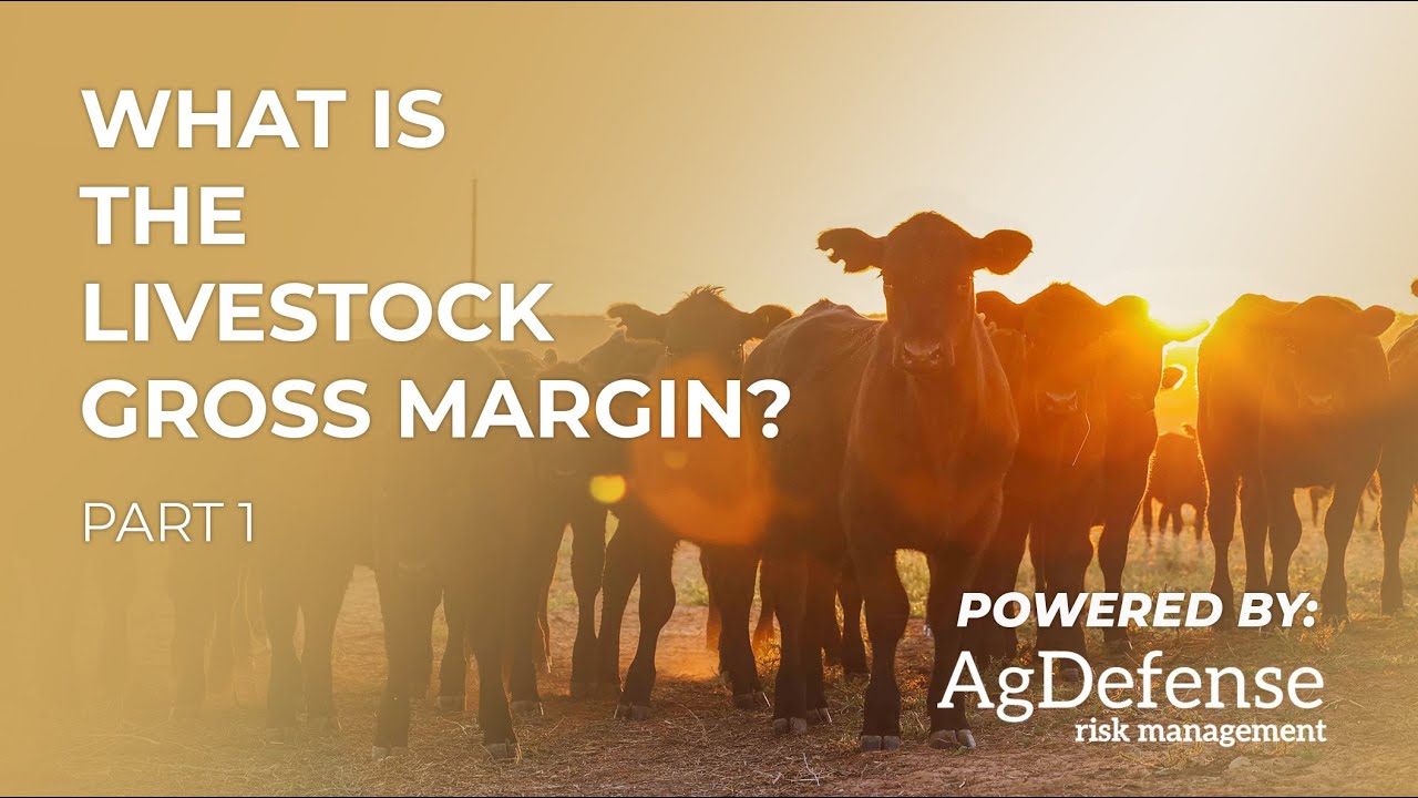 What is the Livestock Gross Margin? - YouTube
