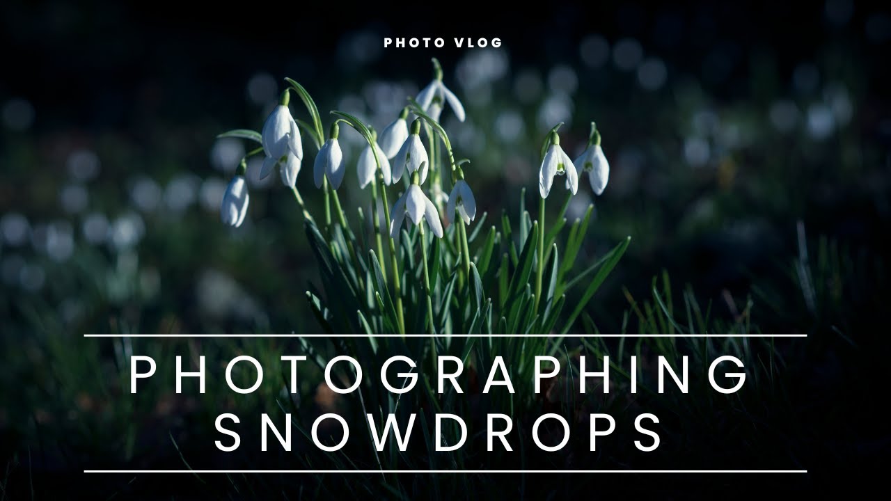 Photographing Snowdrops | SONY A7iii cinematic - YouTube