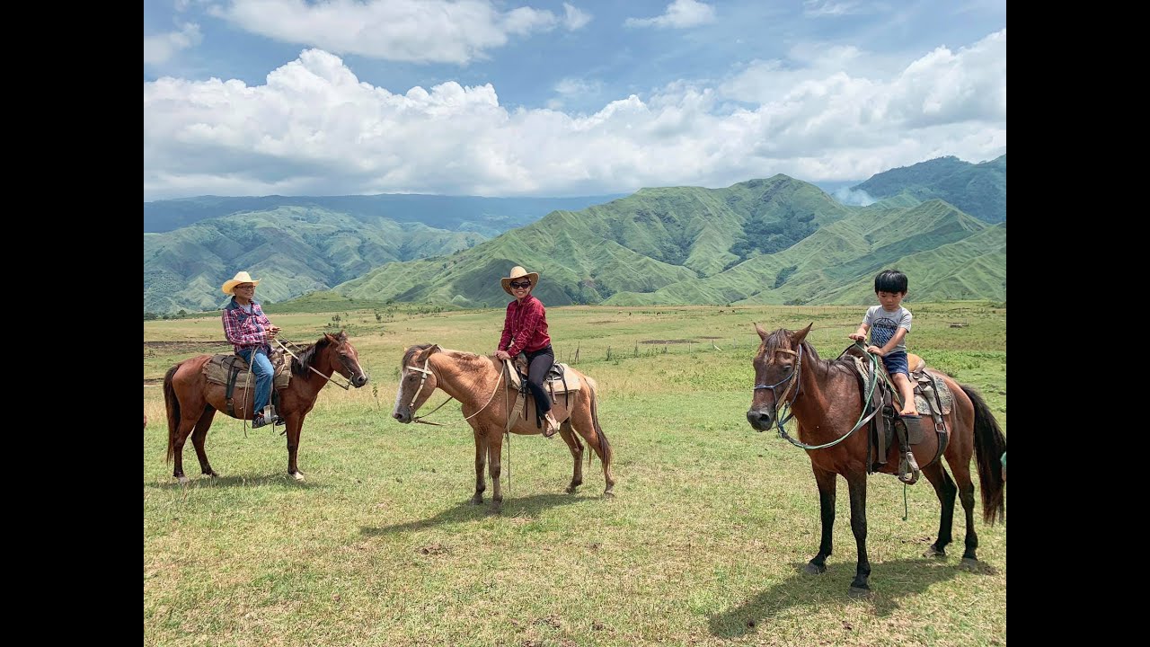 Impasug-ong communal ranch BUKIDNON, Lake Apo - YouTube