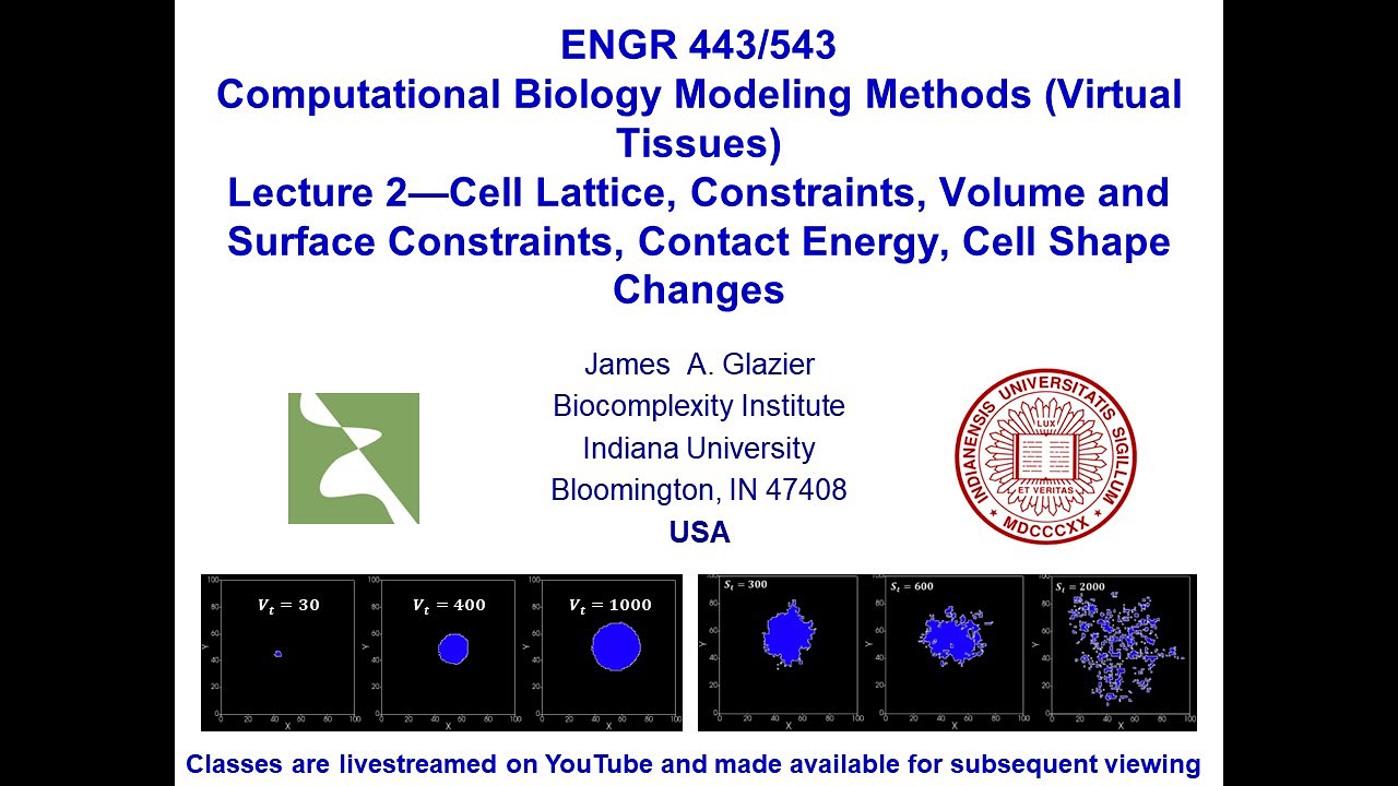 E443/543 Virtual Tissues, Lecture 2, Controlling Cell Properties in ...