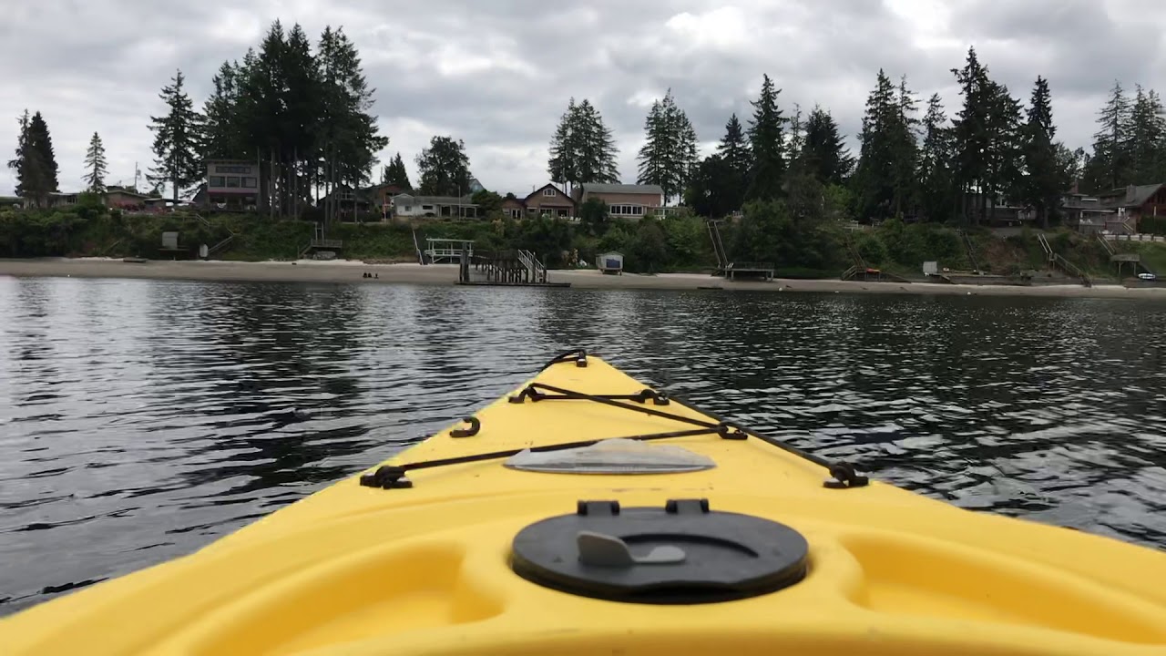 Case inlet gray whale sighting near treasure island bridge - YouTube