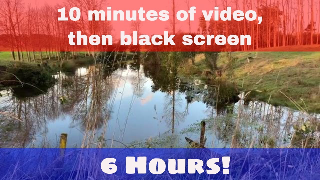 Soothing Pond for Sleep, Relaxing or White Noise || 6 Hours - YouTube