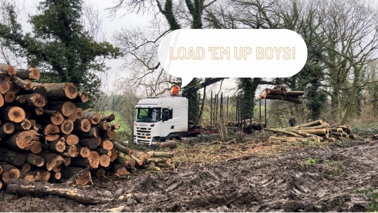 Timber loading, Tree climbing and stump grinding...a day in the life of ...