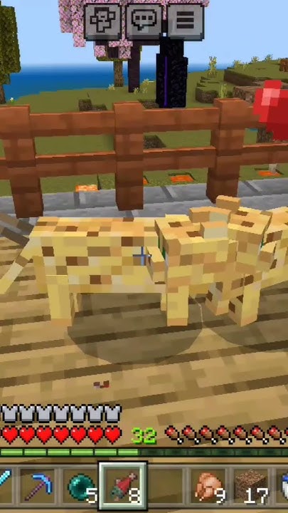 Breeding Ocelots In Minecraft How To Breed Ocelots Ocelots Minecraft Youtube