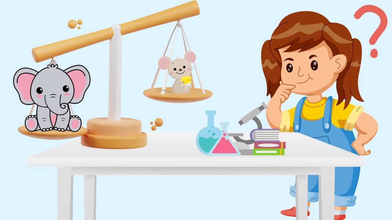 Lourd ou Léger ? ⚖️ Apprends la Différence avec des Jeux Amusants ...