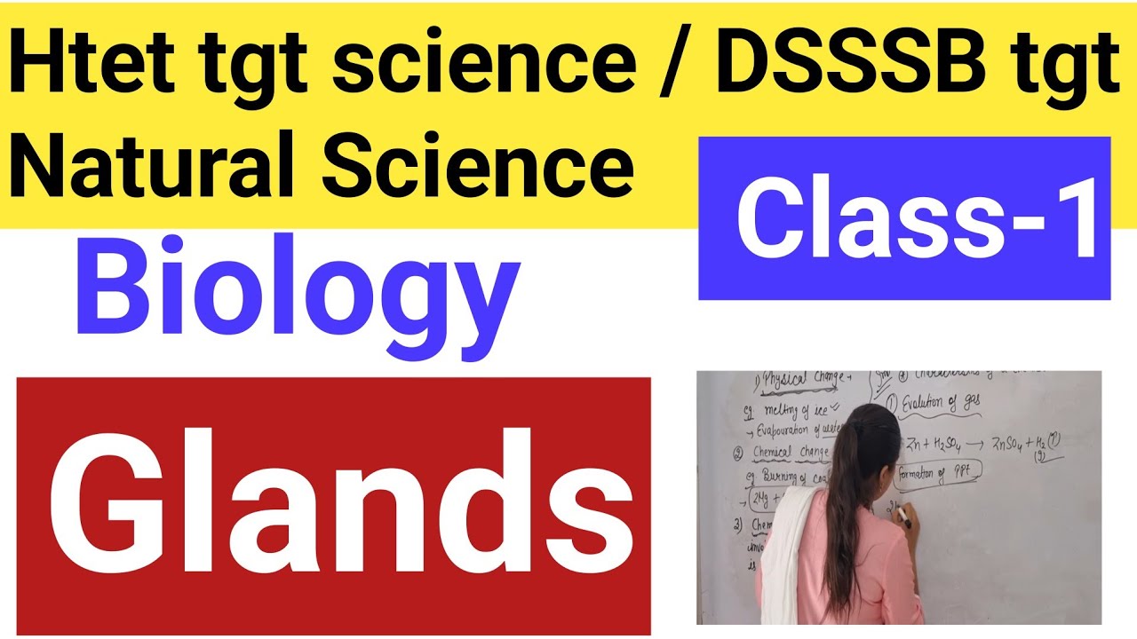 Htet tgt science DSSSB natural science ||Glands (Part-1)#dsssb2024 # ...