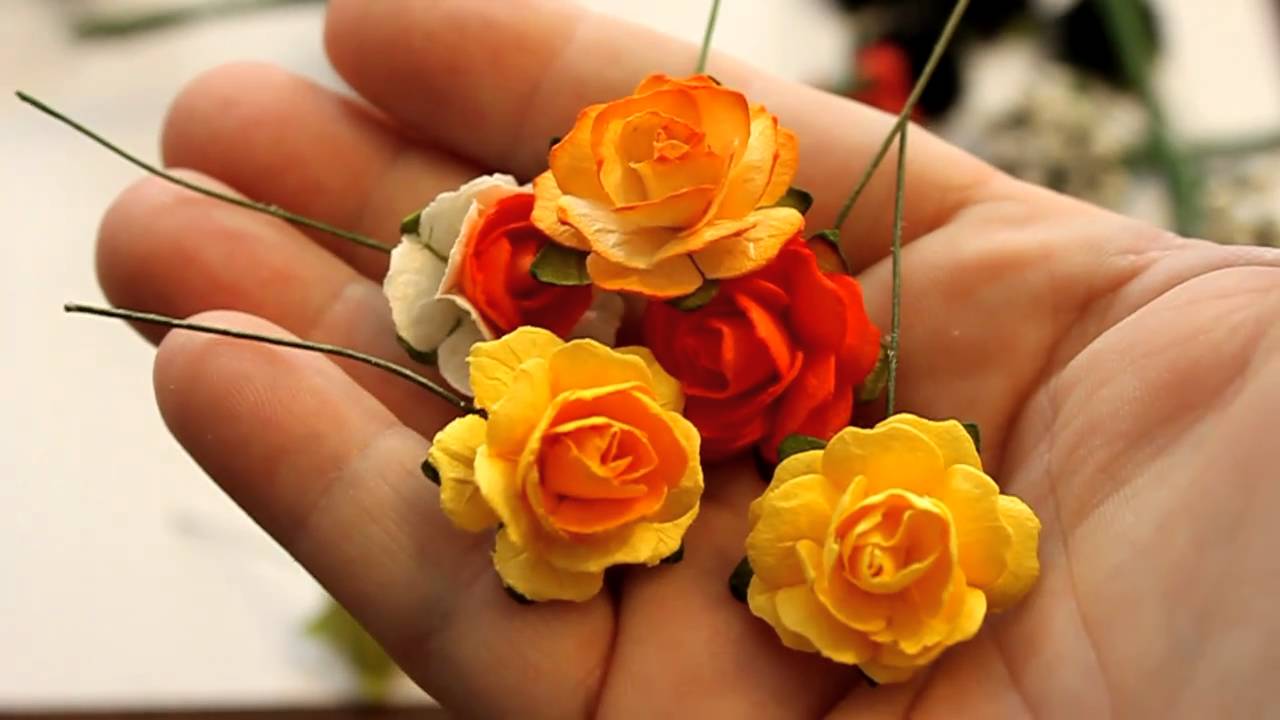 I Am Roses Haul - YouTube