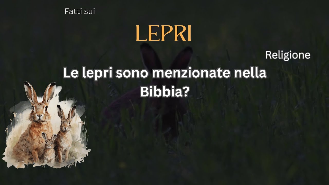 Fatto della Lepre 18 - Le lepri sono menzionate nella Bibbia? - YouTube