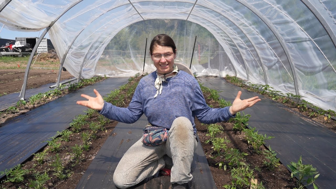 Let's Build A Hoop House! Complete Step by Step Process - YouTube