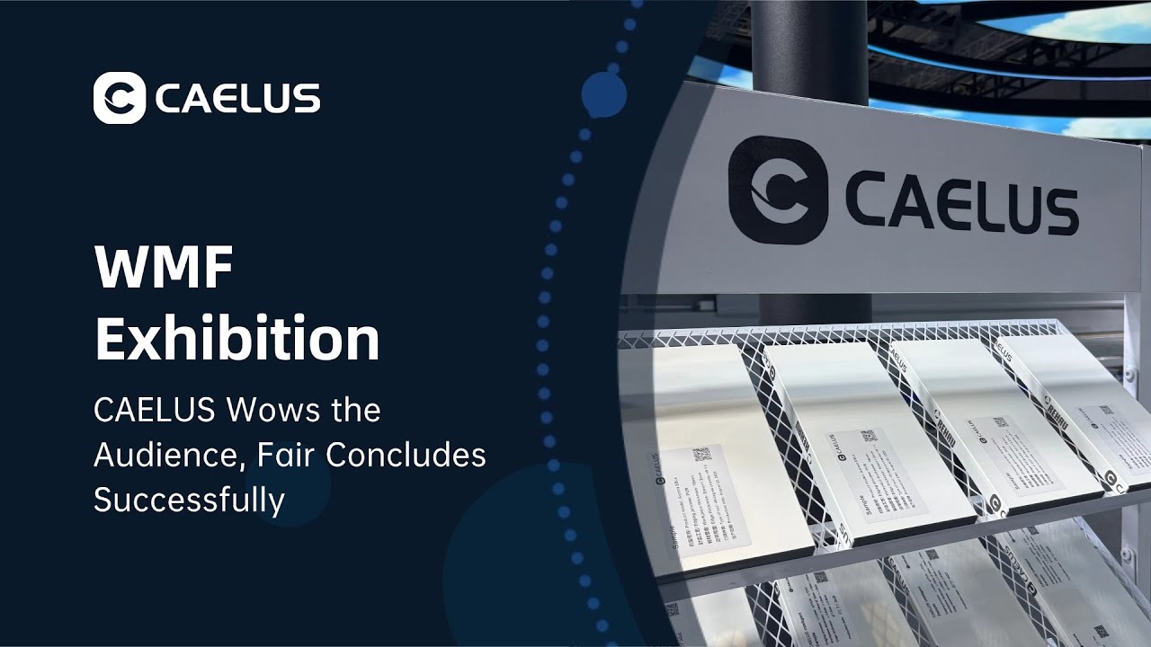 CAELUS Intelligent WMF Successfully！ - YouTube