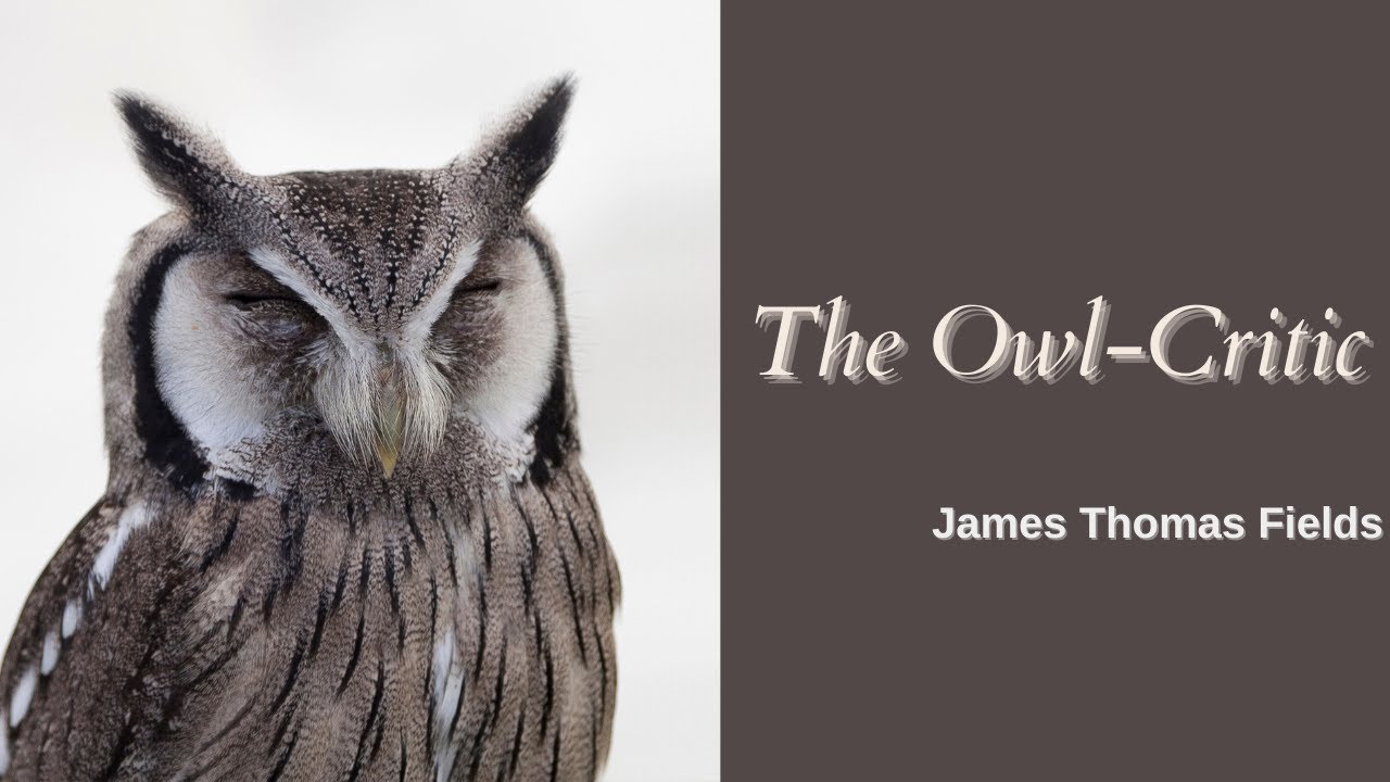 The Owl Critic by J.T. Fields | A funny and witty poem for everyone ...