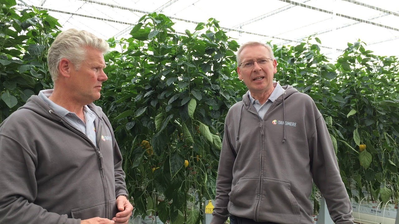Farmer Introduction Tangmere Airfield Nurseries Ltd - YouTube