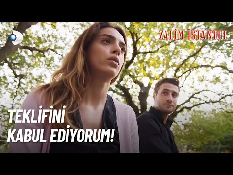 Cenk, Cemre'ye Evlenme Teklifi Etti! - Zalim İstanbul Özel Klip