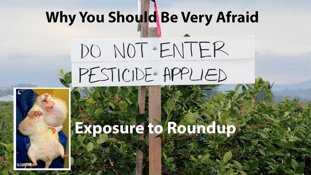 Myths Of Pesticide Testing And Why You Should Be Very Afraid By