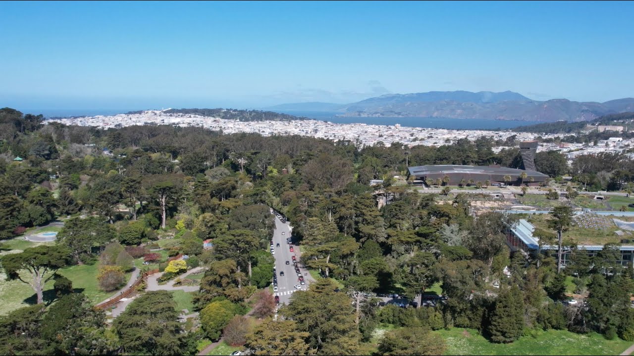 Spa Drone 🚁 - San Francisco 🇺🇸 - Golden Gate Park / Painted Ladies ...