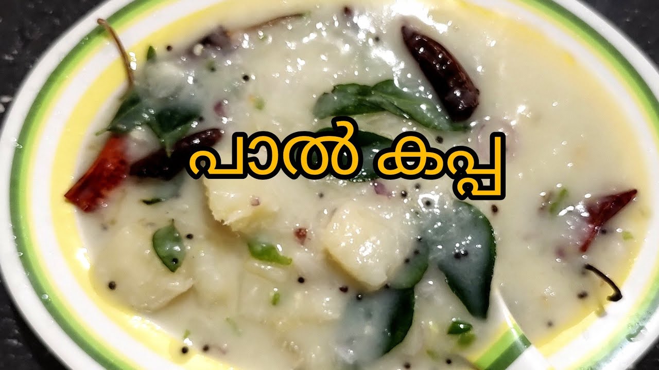 രുചികരമായ പാൽ കപ്പ😋 Easy paal kappa making .#tastyfood #paalkappa # ...