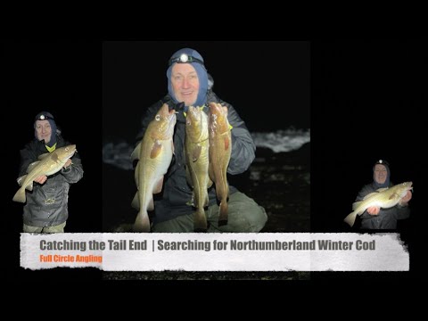 Catching The Tail End | Searching for Northumberland Cod | Winter Cod ...