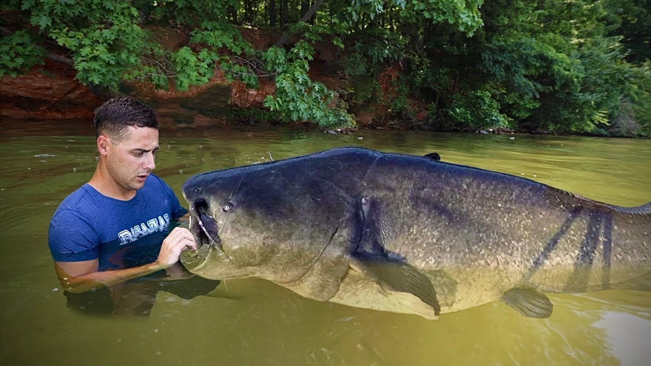 I Caught A Monster Fish With My Hands - YouTube