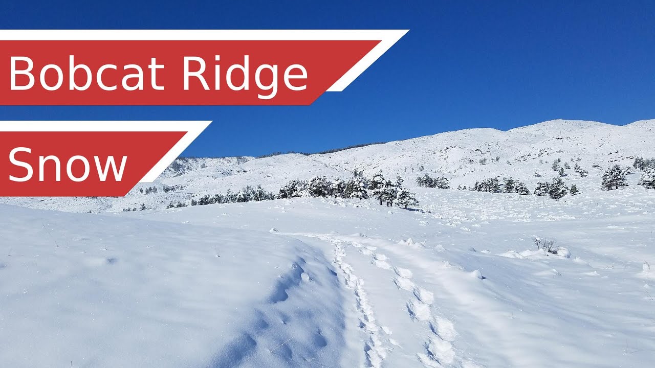Bobcat Ridge Snow Hike - YouTube