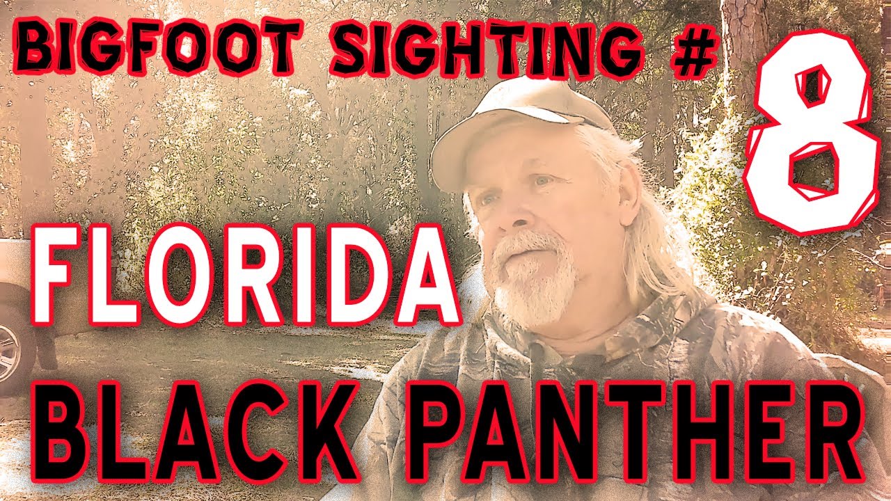 Bigfoot Campfire Story #8 - Osceola National Forest Black Panther ...